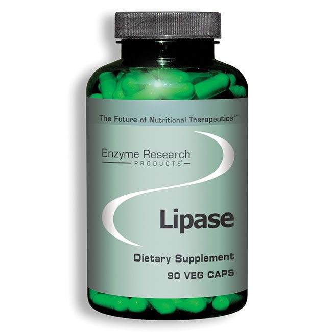 Lipasa Enzima | Enzyme Research Products | Sitio en Español