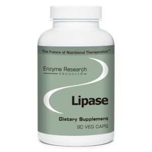 Lipase Enzyme | Enzyme Research Products | Retail English Site